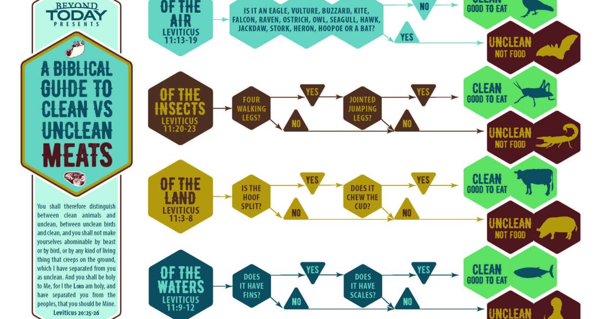 [Infographic]: A Biblical Guide to Clean Vs. Unclean Meats | Eglise de ...